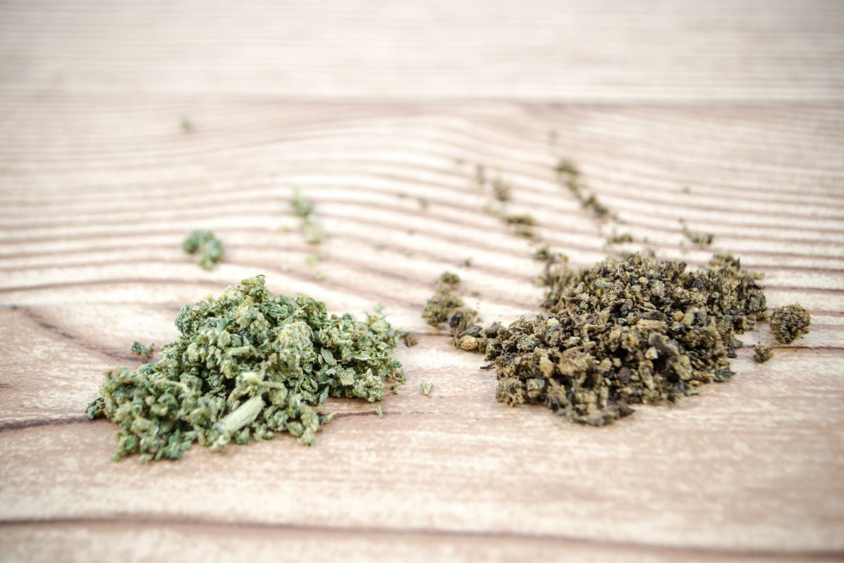 Frequently Asked Questions about AVB - Answers to Your AVB Queries– TheHippiePipe.com