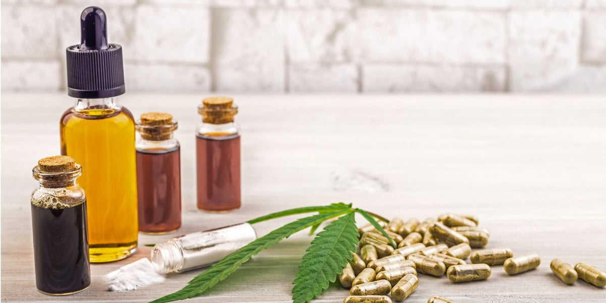 Unveiling the Healing Potential of Cannabidiol (CBD)– TheHippiePipe.com