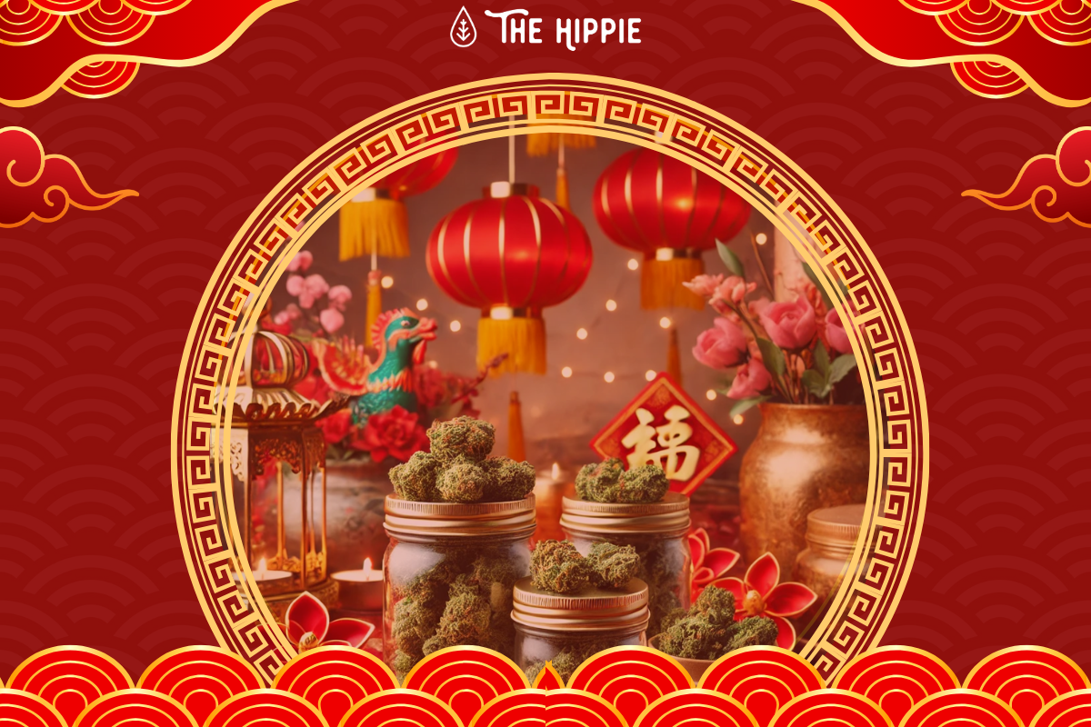 Strains of Fortune: Cannabis Strains for Good Fortune– TheHippiePipe.com