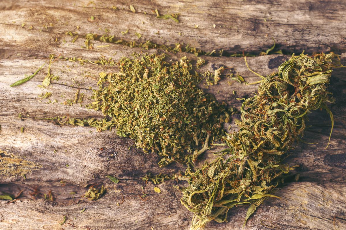 Unlock the Secrets of Watercured AVB! FAQs Answered Here– TheHippiePipe.com