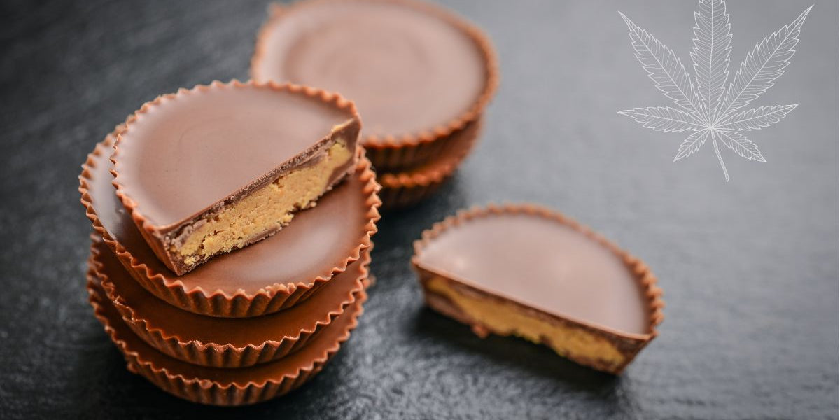 A Tasty Way to Use AVB: Chocolate Peanut Butter Cups Recipe ...